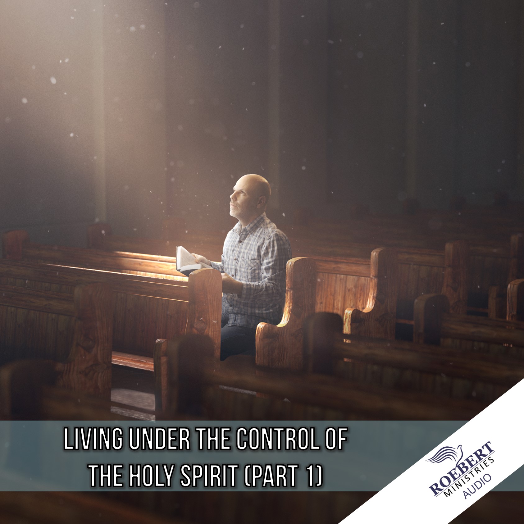 Living under the control of the Holy Spirit (Part 1) - Audio - Roebert ...