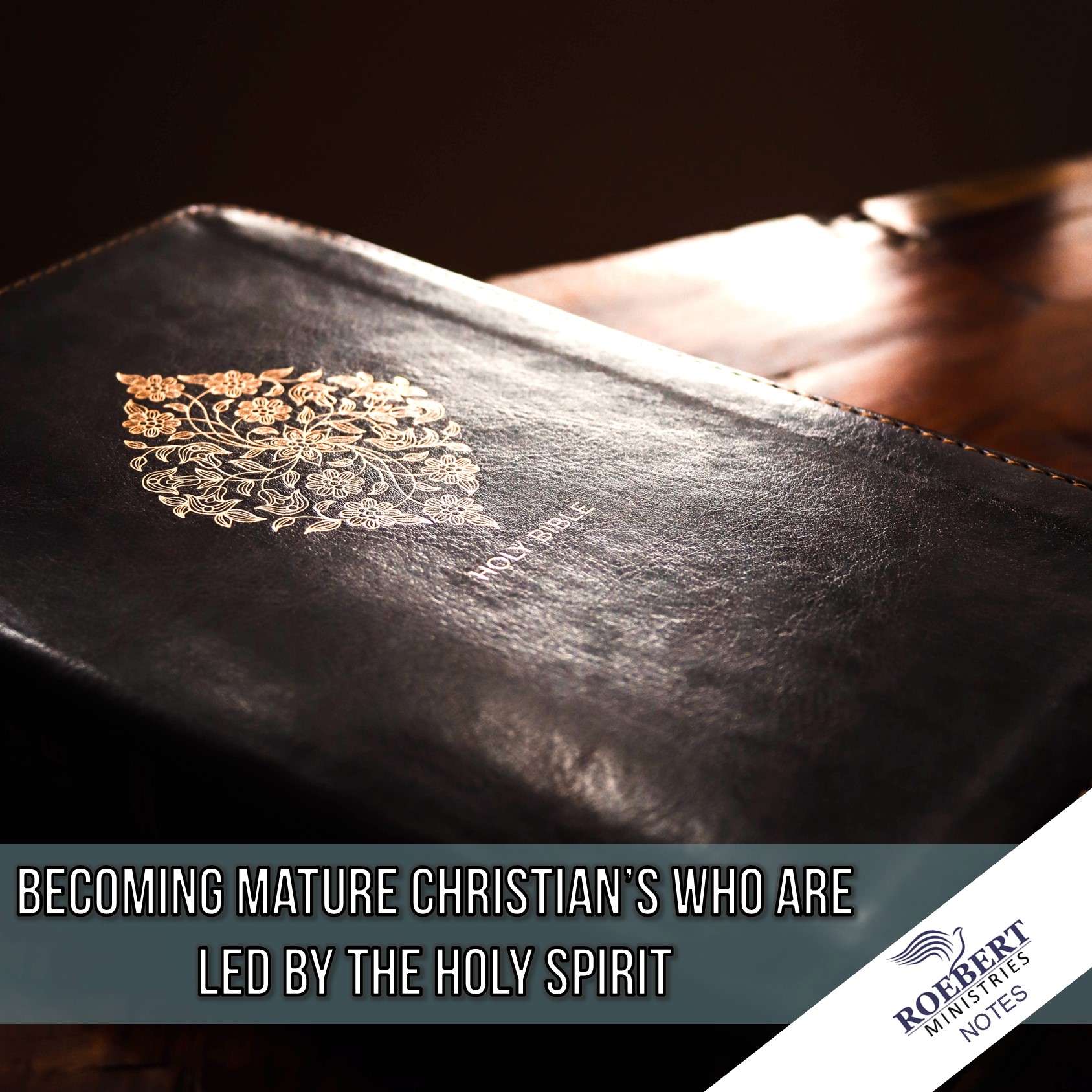 Becoming mature Christian’s who are led by the Spirit of God – Sermon ...